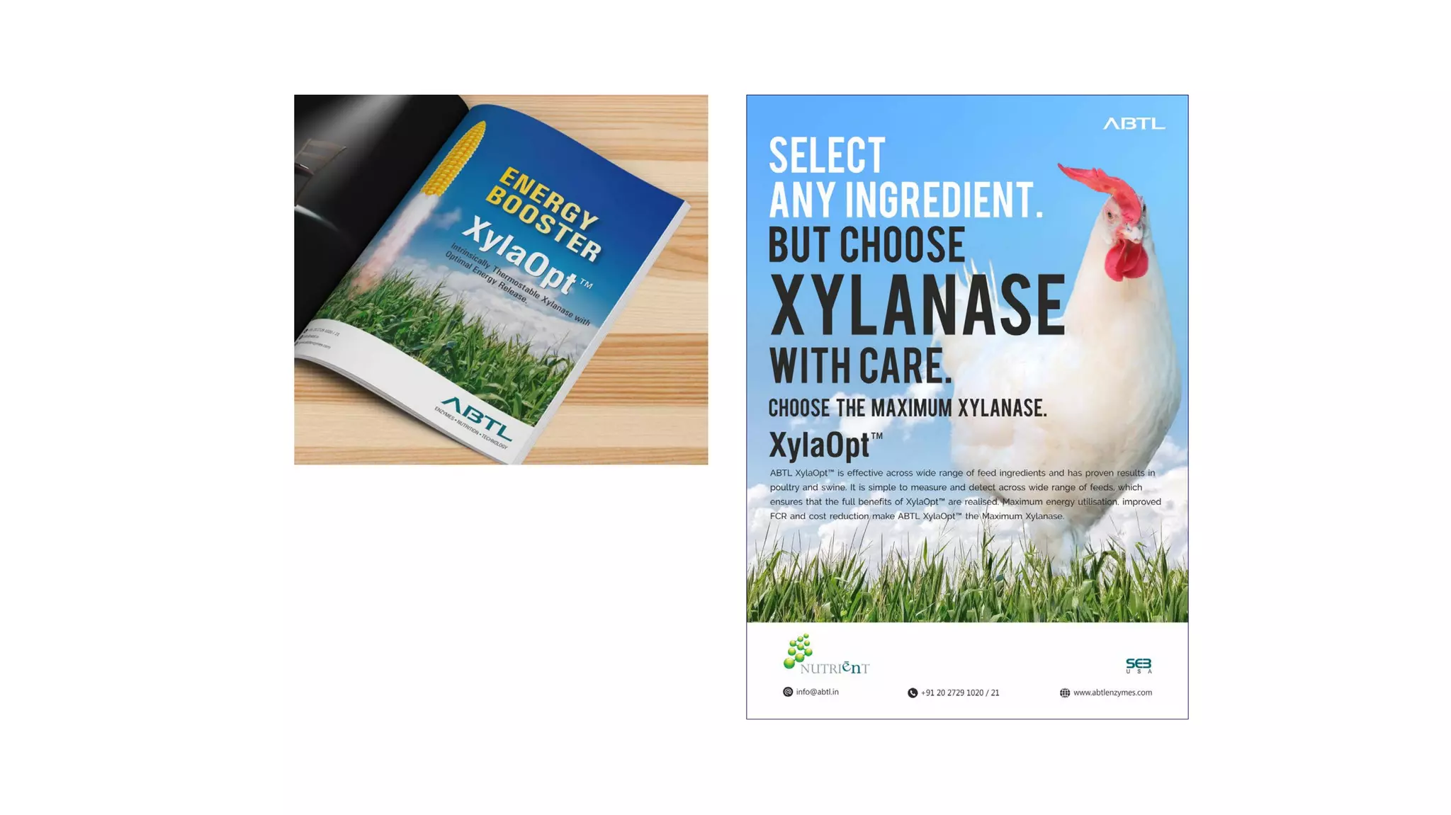 DesignLab Poultry Presentation | PDF