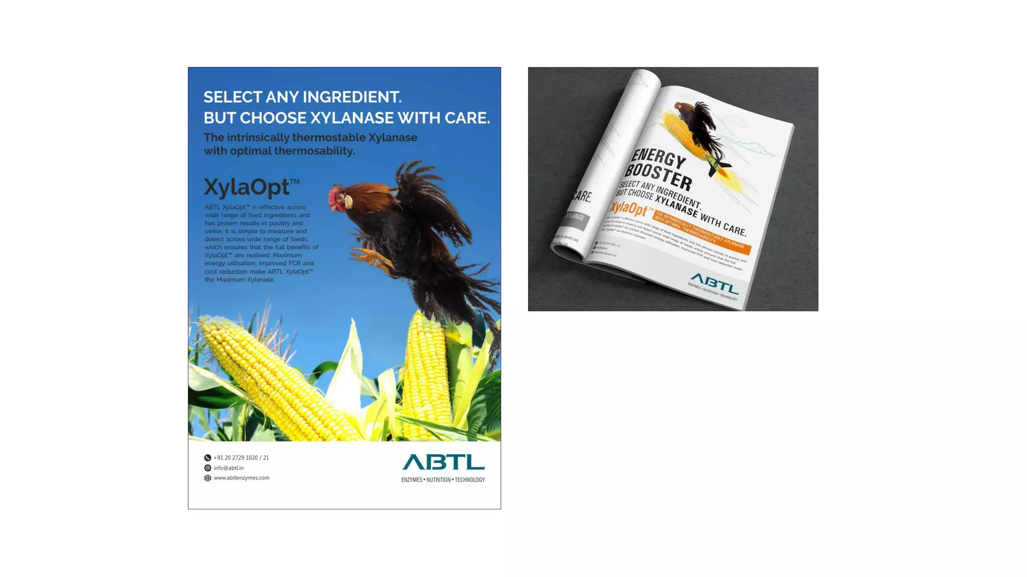 DesignLab Poultry Presentation | PDF