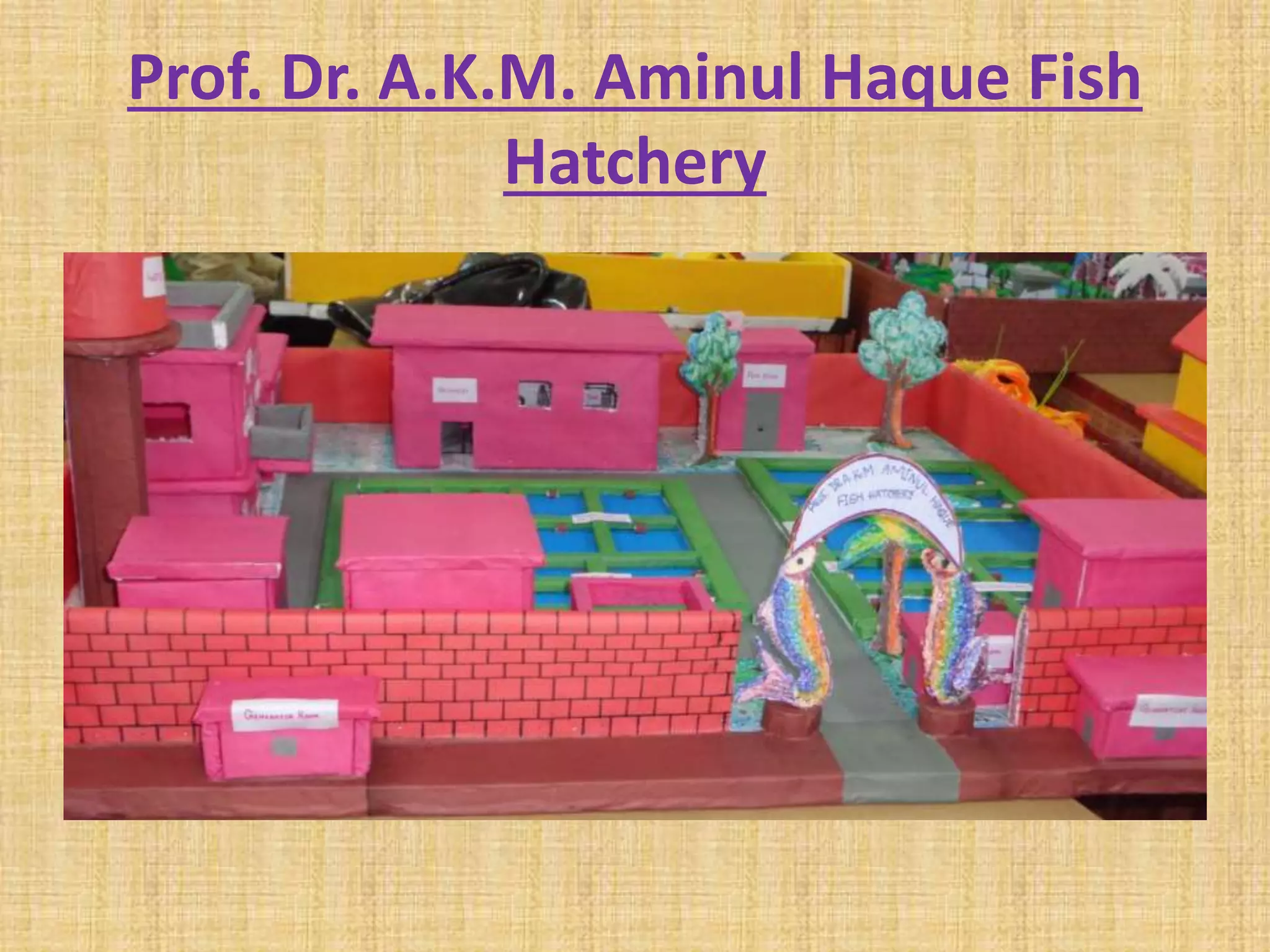 Design of a typical fish hatchery | PPTX
