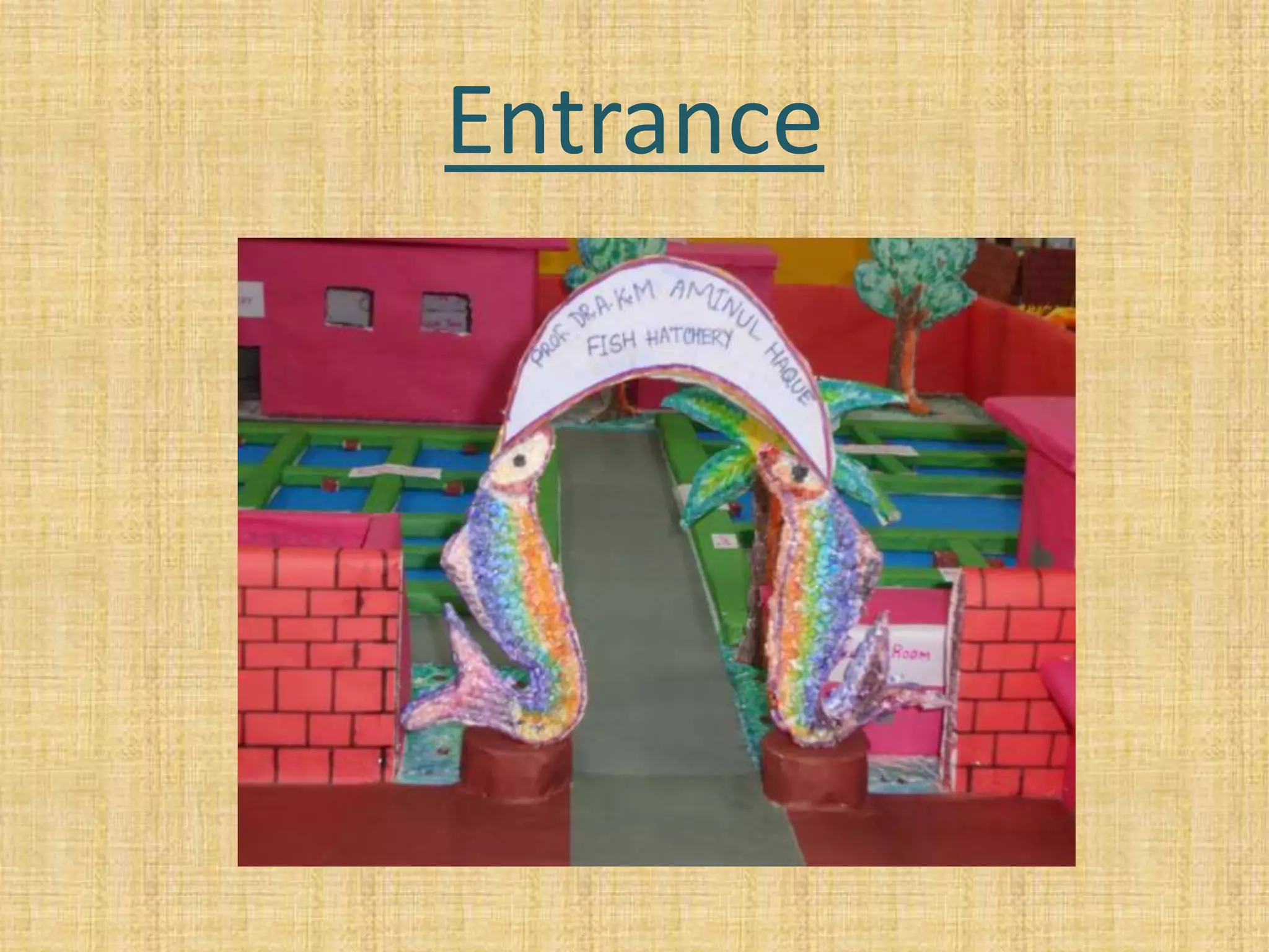 Design of a typical fish hatchery | PPTX