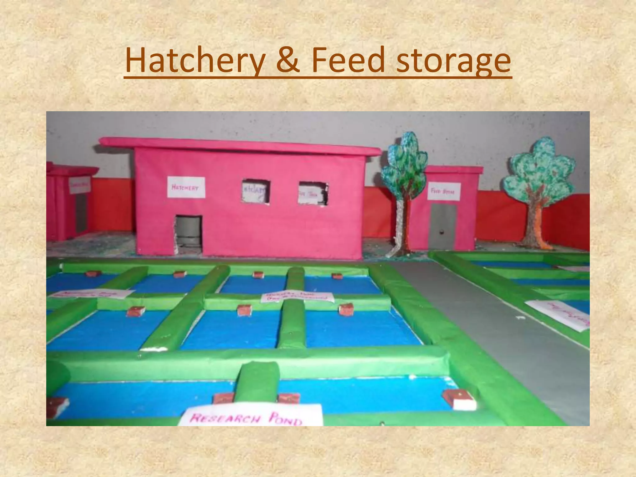 Design of a typical fish hatchery | PPTX