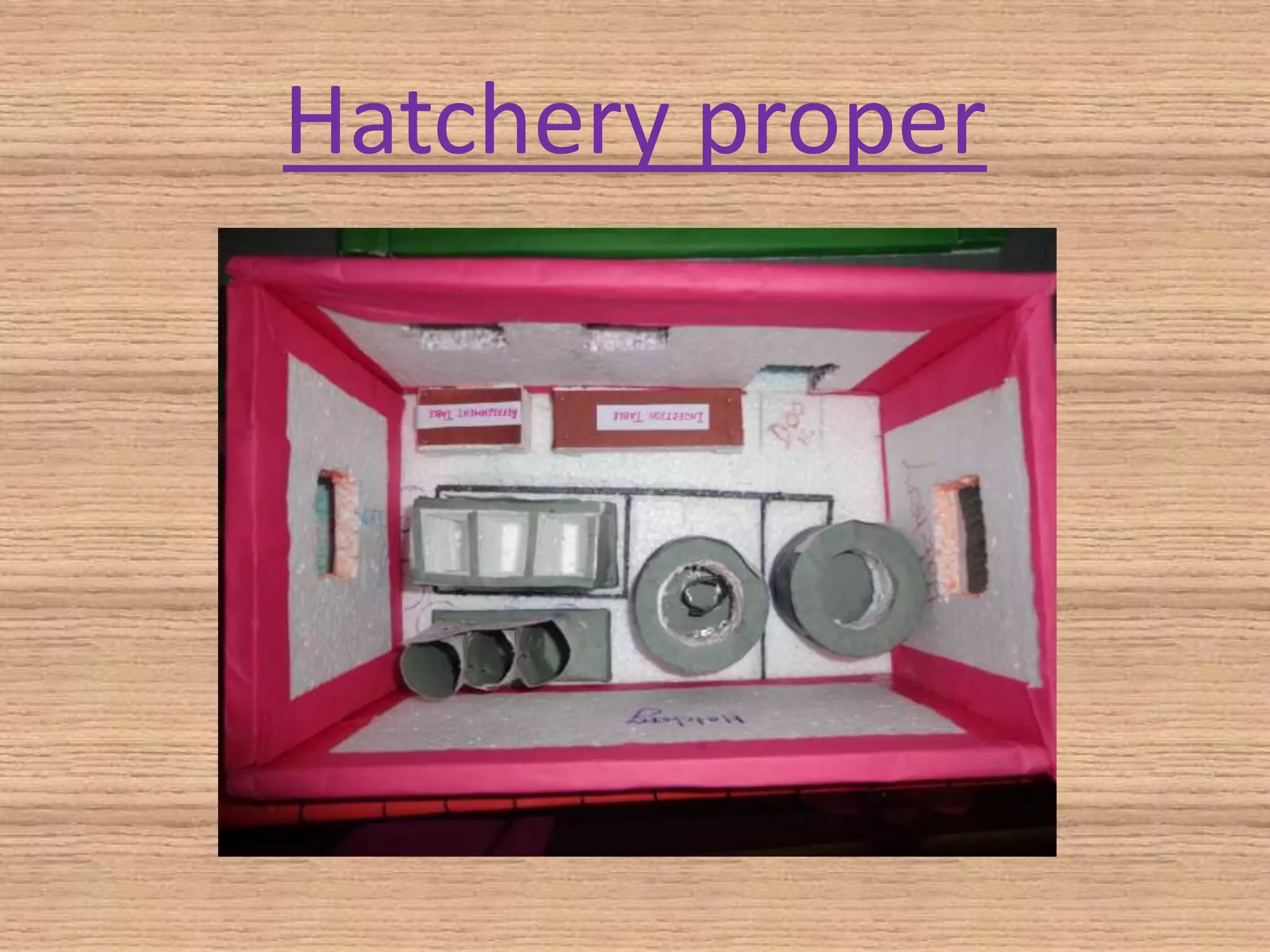 Design of a typical fish hatchery | PPTX