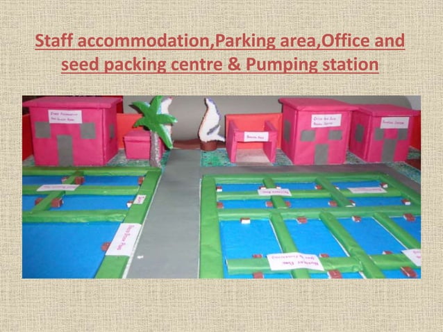 Design of a typical fish hatchery | PPTX