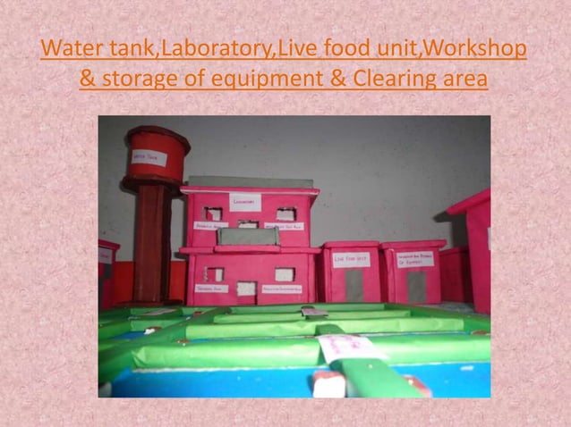 Design of a typical fish hatchery | PPTX