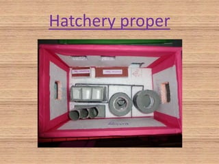 Design of a typical fish hatchery | PPTX