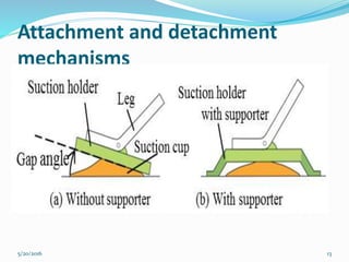 Design of a wall climbing robot with passive suction cups | PPTX