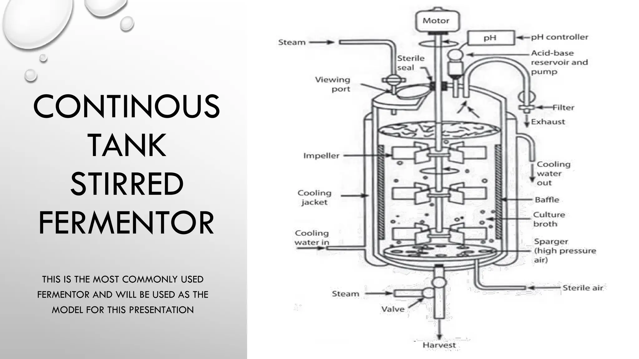 DESIGN OF BIOPROCESS VESSELS-fermentation technology.pptx