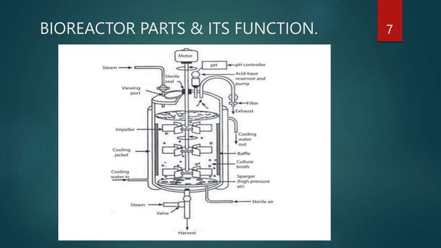 DESIGN OF BIOREACTORS.pptx