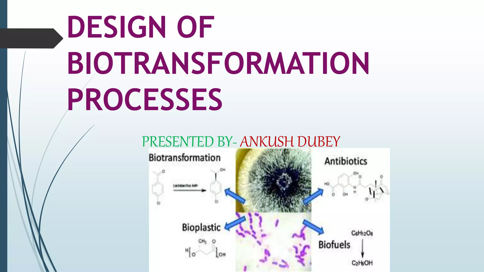 Design of biotransformation processes | PPTX