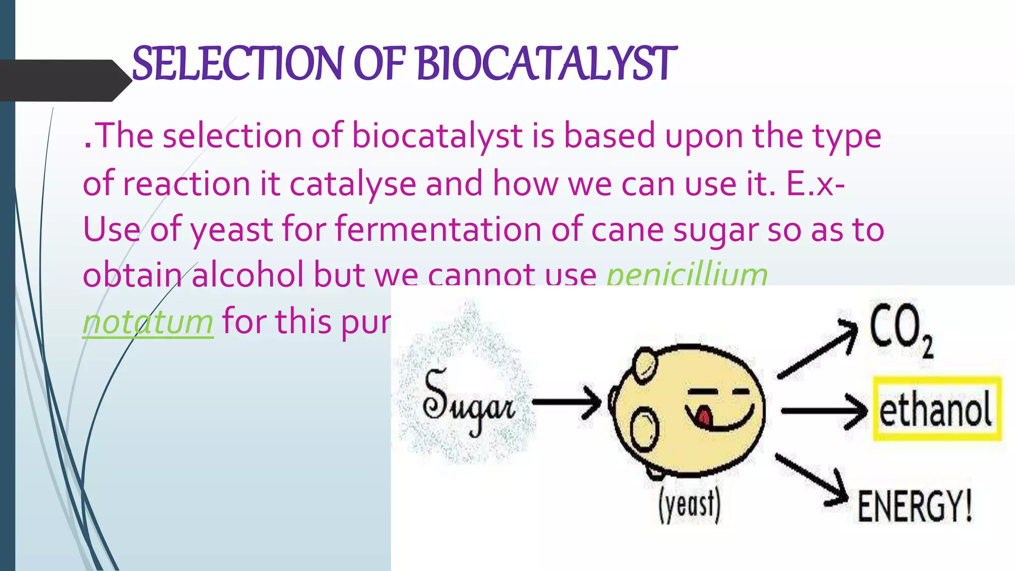 Design of biotransformation processes | PPTX