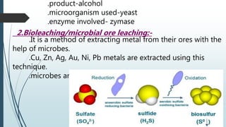 Design of biotransformation processes | PPTX