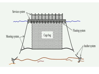 DESIGN OF CAGES in Reservoirs and their advantages and disadvantages | PPTX