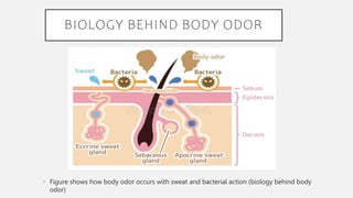 Design of cosmeceutical products for body odor.pptx