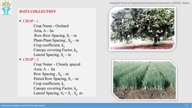 Design of drip irrigation system | PPTX | Agriculture | Industries