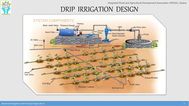 Design of drip irrigation system | PPTX | Agriculture | Industries