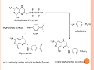 Design of enzyme inhibitors as drugs | PPT