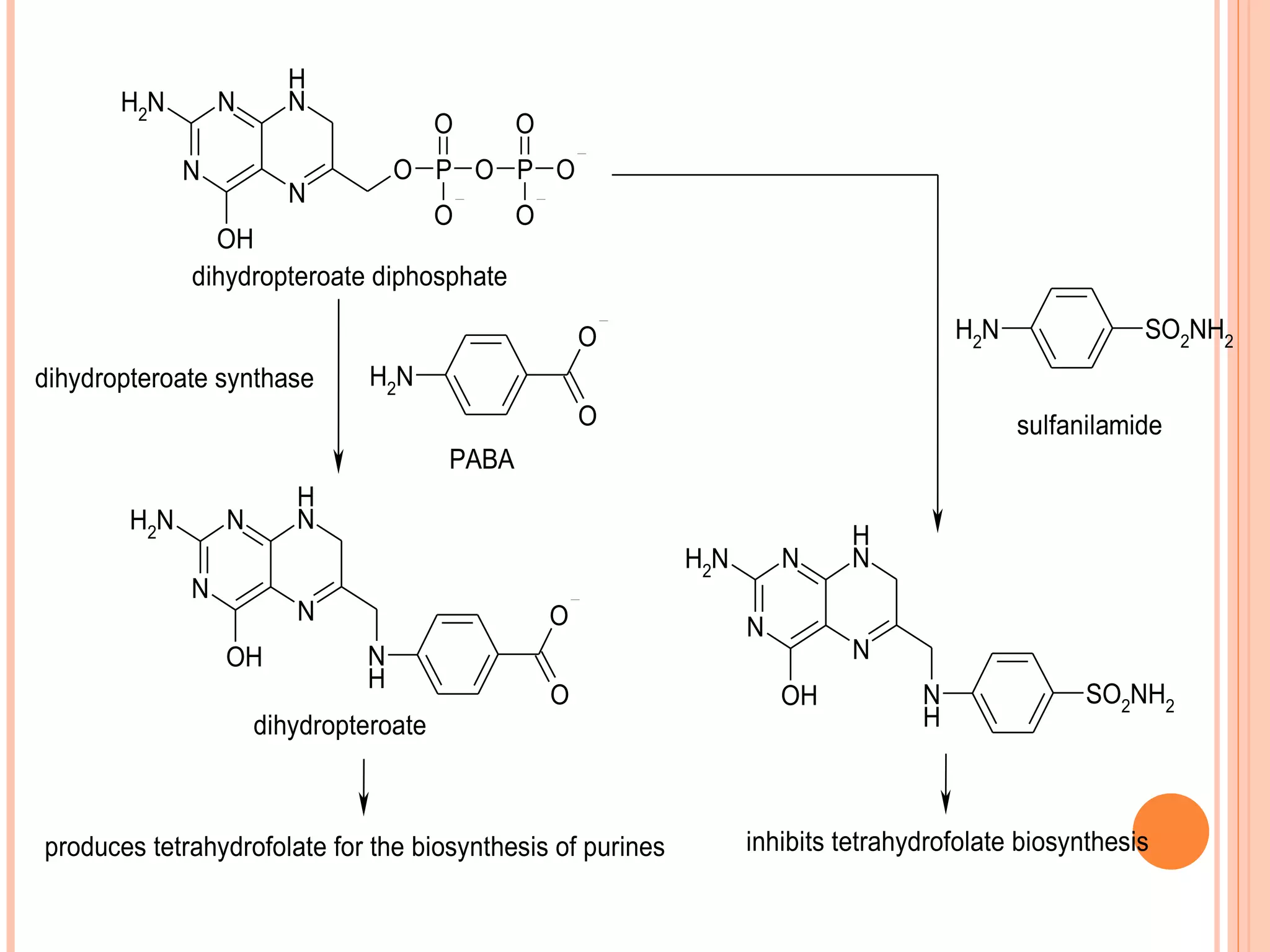 Design of enzyme inhibitors as drugs | PPT