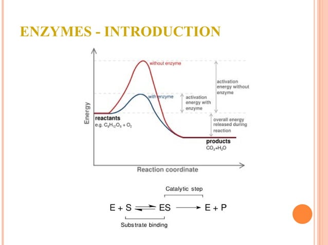 Design of enzyme inhibitors as drugs | PPT