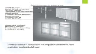 Design of irradiator | PPT