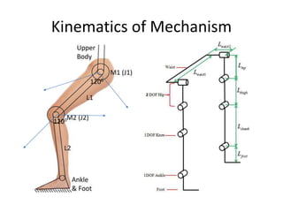 Design of lower limb exoskeleton | PPTX