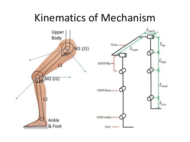 Design Of Lower Limb Exoskeleton