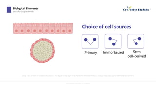 Design of Organ-On-A-Chip - Creative Biolabs.pptx
