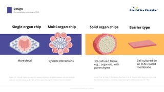 Design of Organ-On-A-Chip - Creative Biolabs.pptx