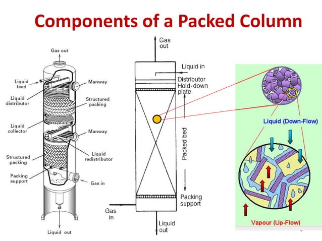 Design of packed columns | PDF | Chemistry | Science