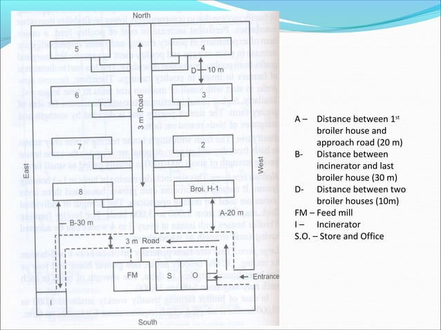 Design of poultry houses | PPT