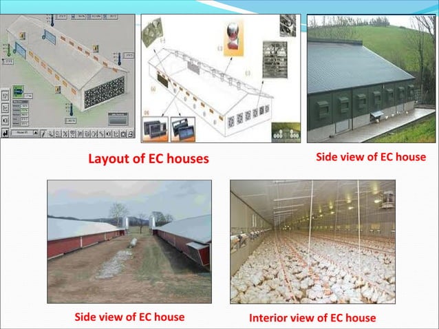Design of poultry houses | PPT