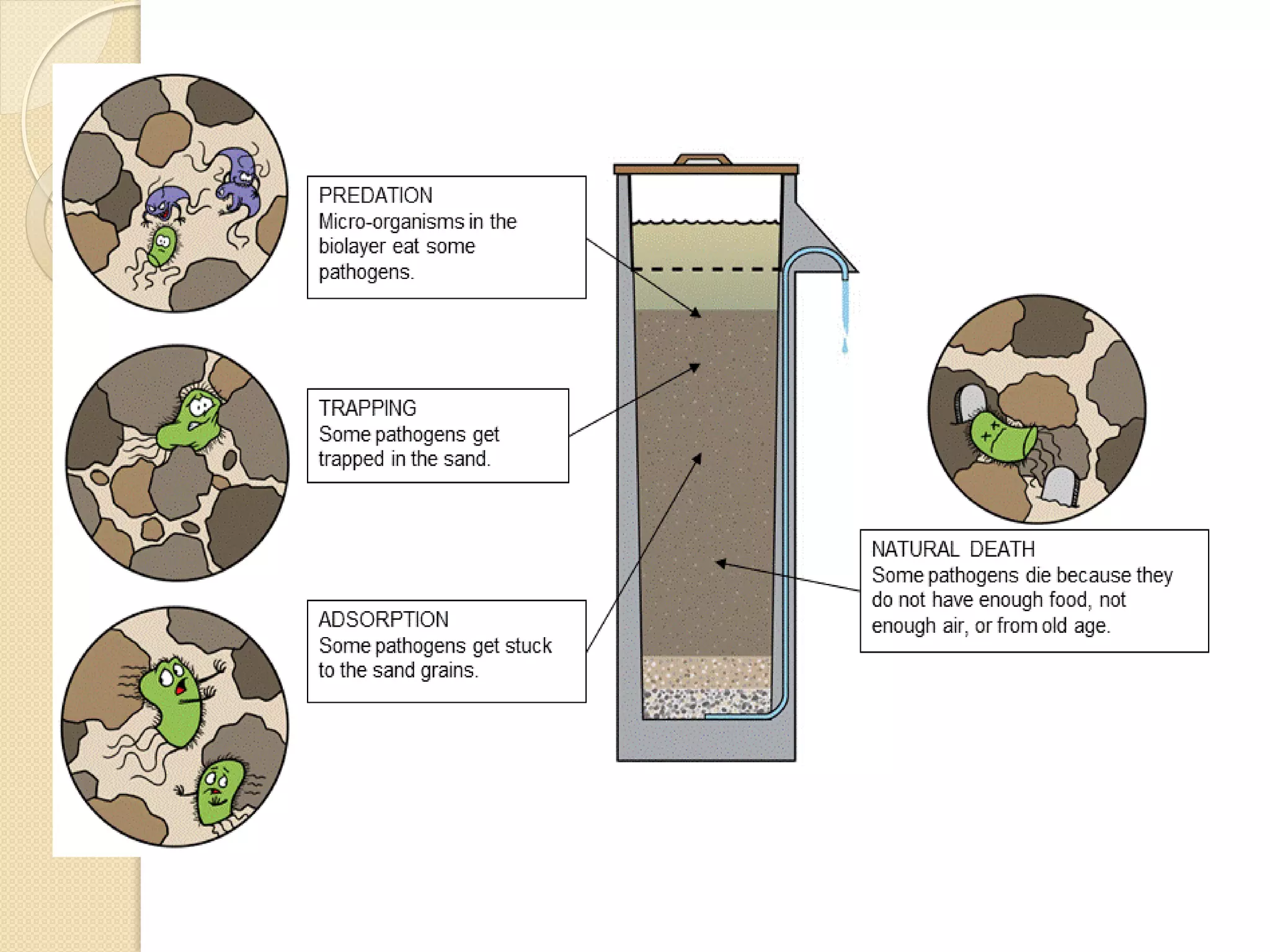 Design of primary treatment plant | PPT
