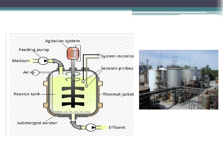 Design of stirred batch reactor