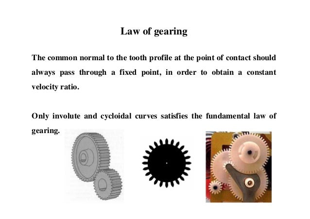Internal vector borne transmission - westreka