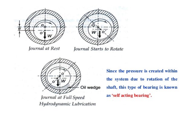 Internal vector borne transmission - gulfgeeks