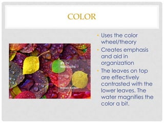 Design principles | PPT