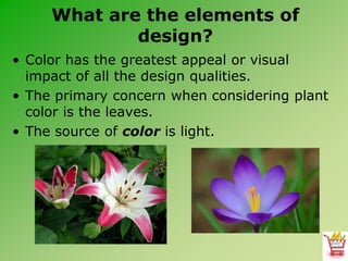 Design Principles.ppt