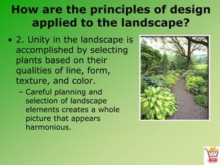 Design Principles.ppt