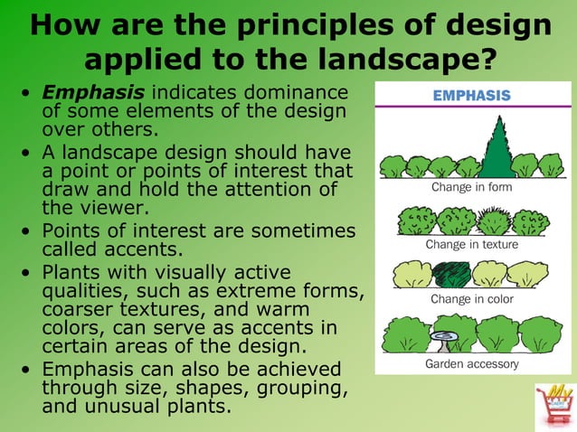 Design Principles.ppt