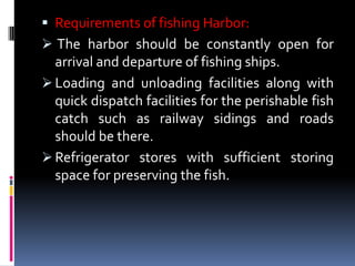 Design principles and requirements of harbours | PPTX