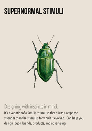 Design principles episode1and2 | PDF