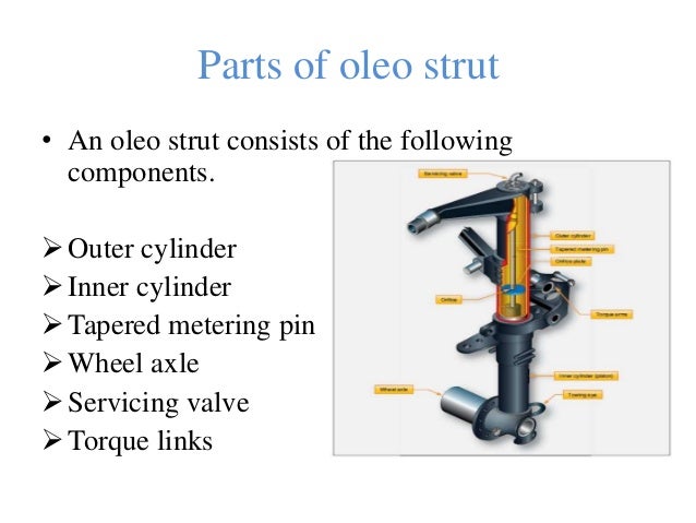 Landing gear (oleo strut)
