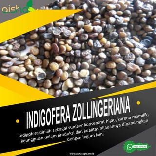 jual benih indigofera | PDF