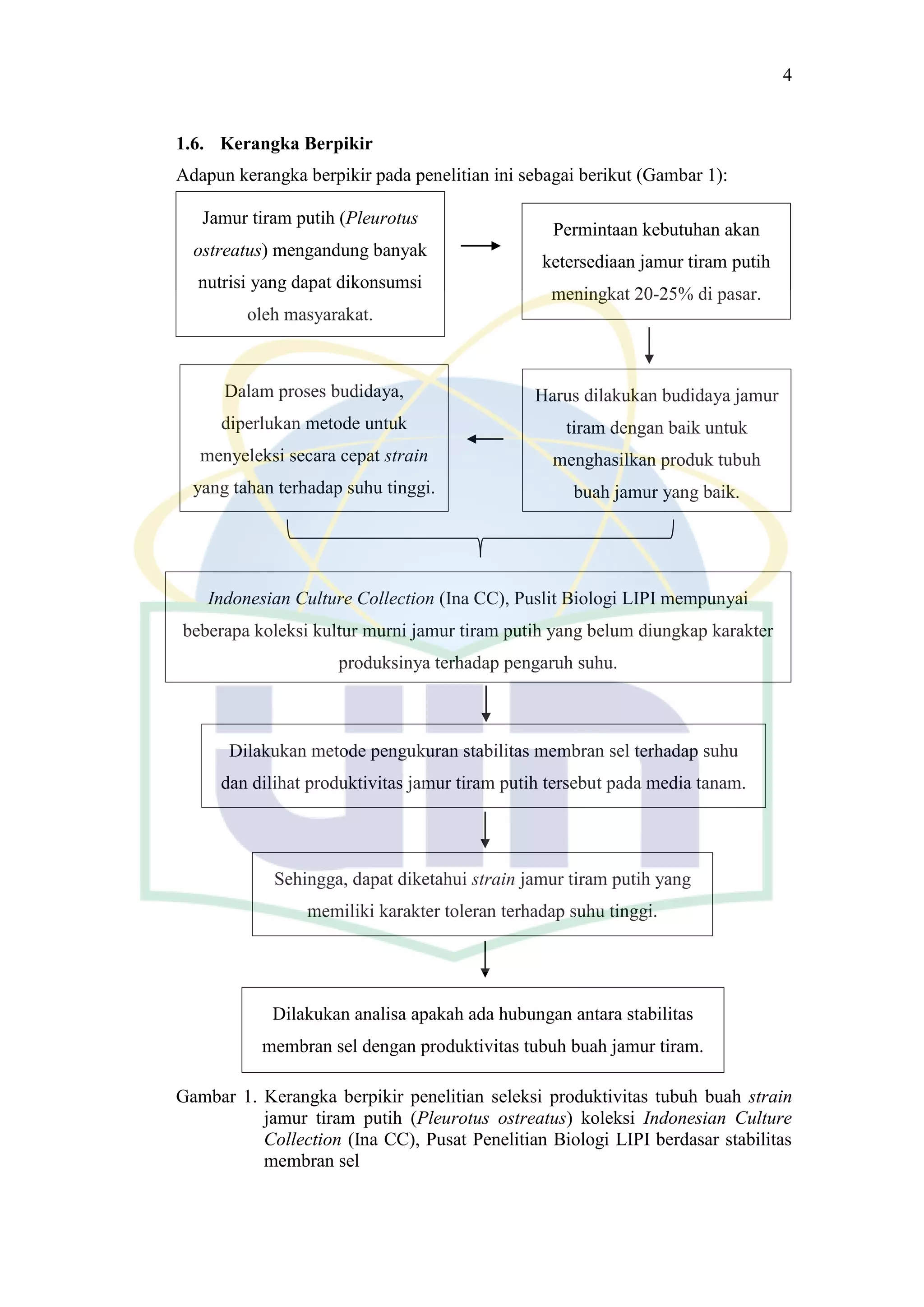 DESI RAMADHANTI-FST.pdf
