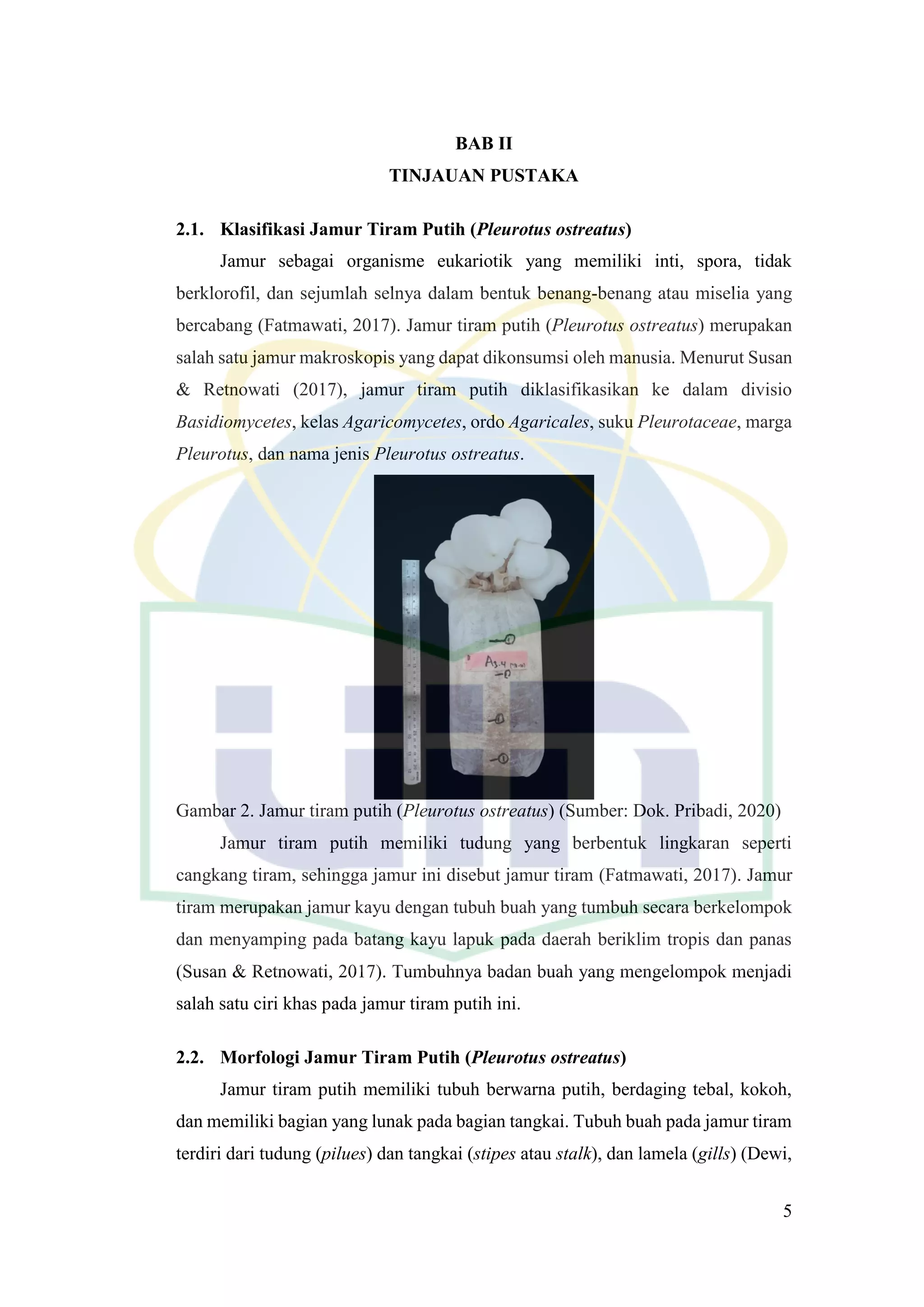 DESI RAMADHANTI-FST.pdf