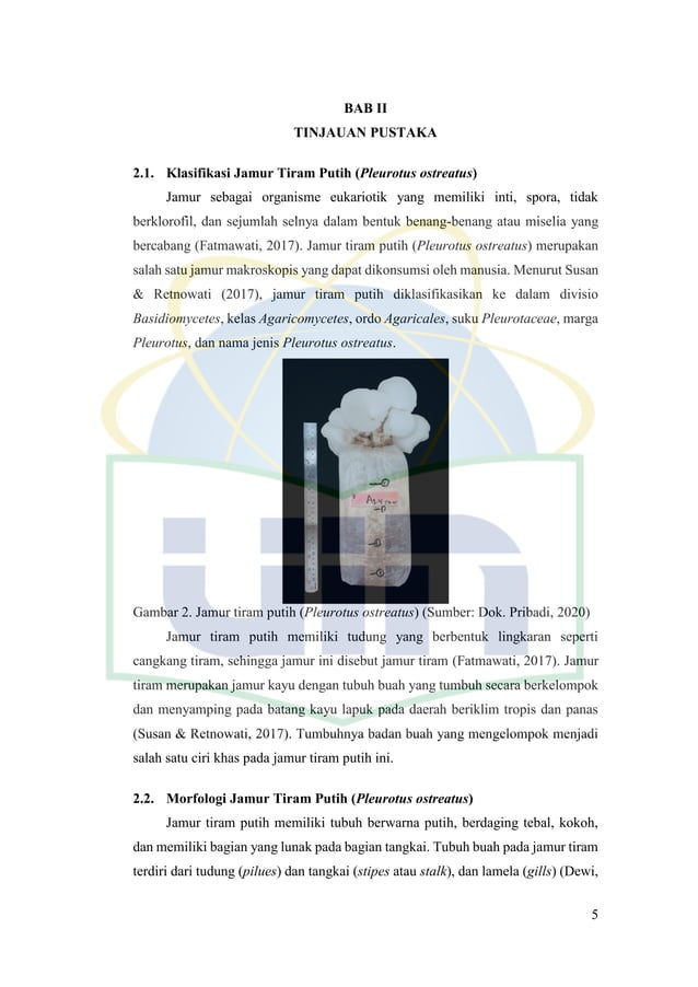 DESI RAMADHANTI-FST.pdf