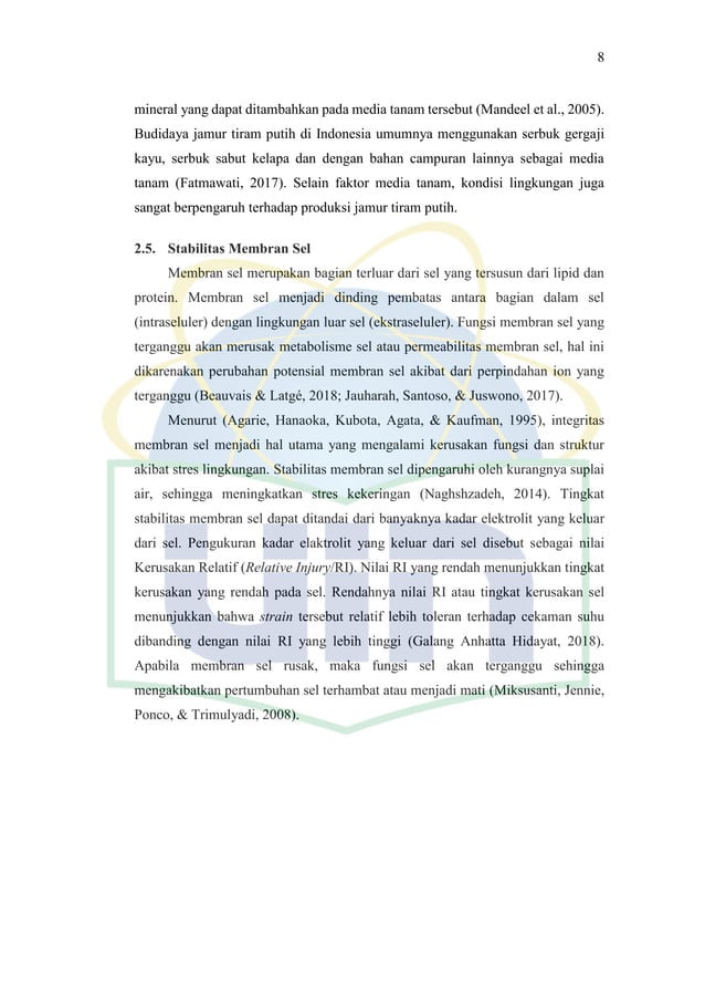 DESI RAMADHANTI-FST.pdf