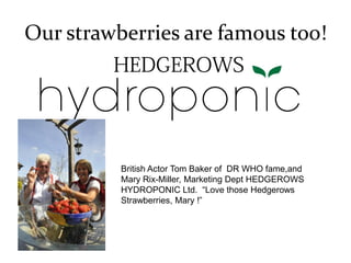 Desire Strawberries Slide Show | PPT