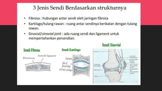 Mengenal Sistem Rangka, Otot dan Sendi . fix.pptx