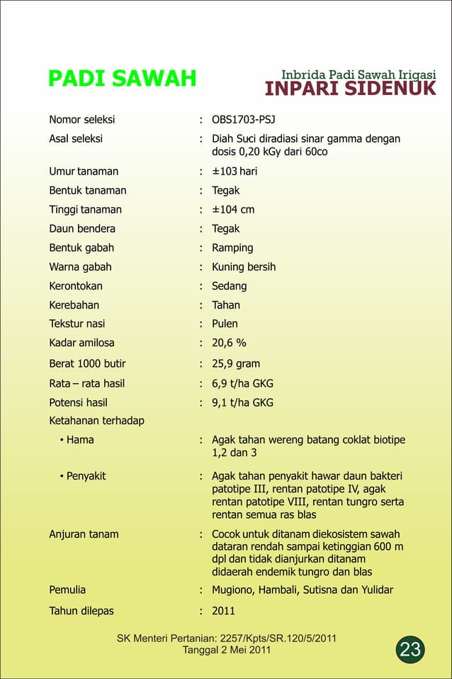 Deskripsi Varietas Padi 2016 | PDF