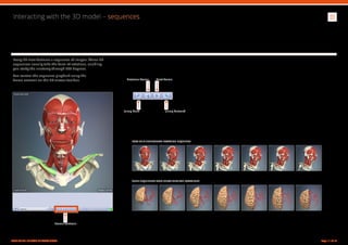 Primal Pictures Anatomy.TV - User Guide | PPT